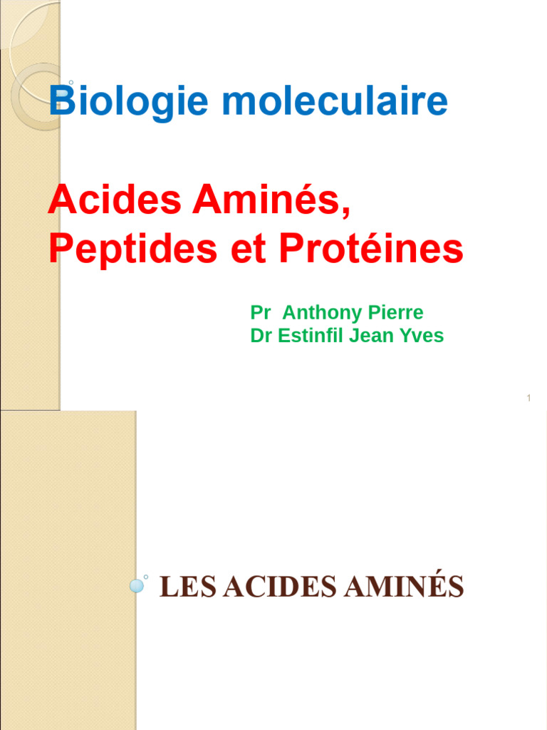 Les Acides Aminés Essentiels et Leur Rôle | PDF | Acide aminé | Protéines