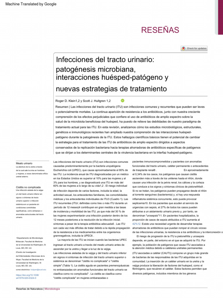 ITU_Pielo español | PDF | Infección del tracto urinario | Escherichia coli