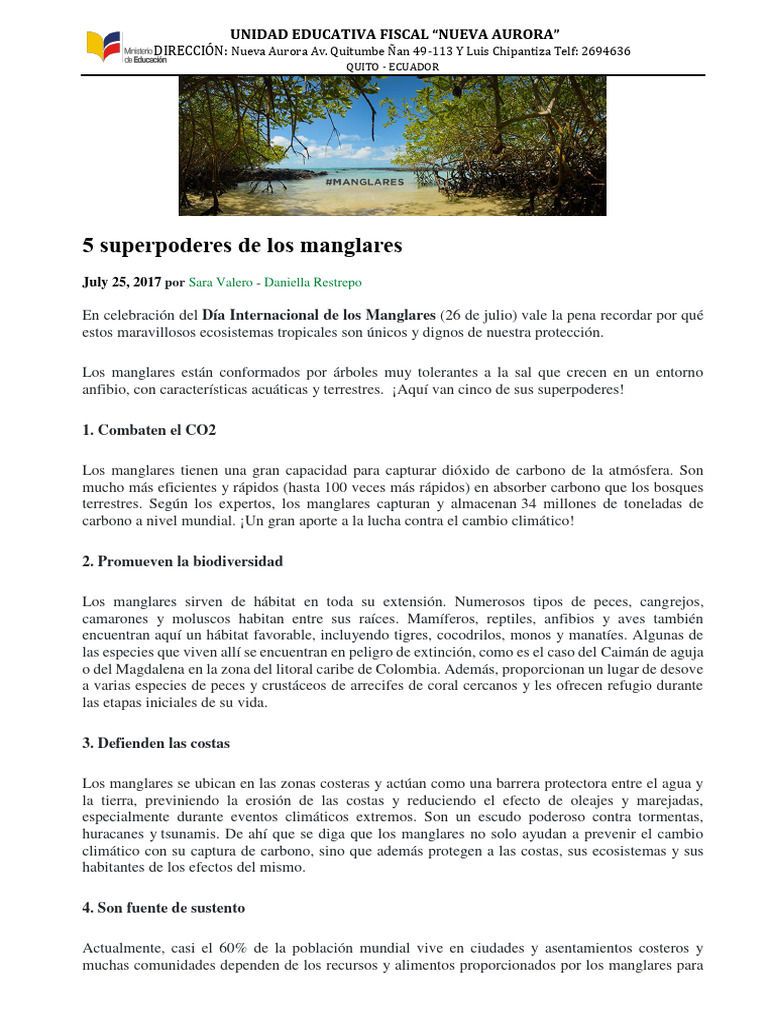 Manglar | PDF | Mangle | Ecuador
