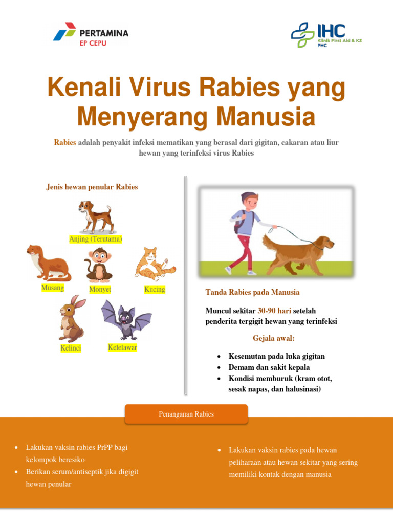 Gejala dan Penanganan Rabies Manusia | PDF