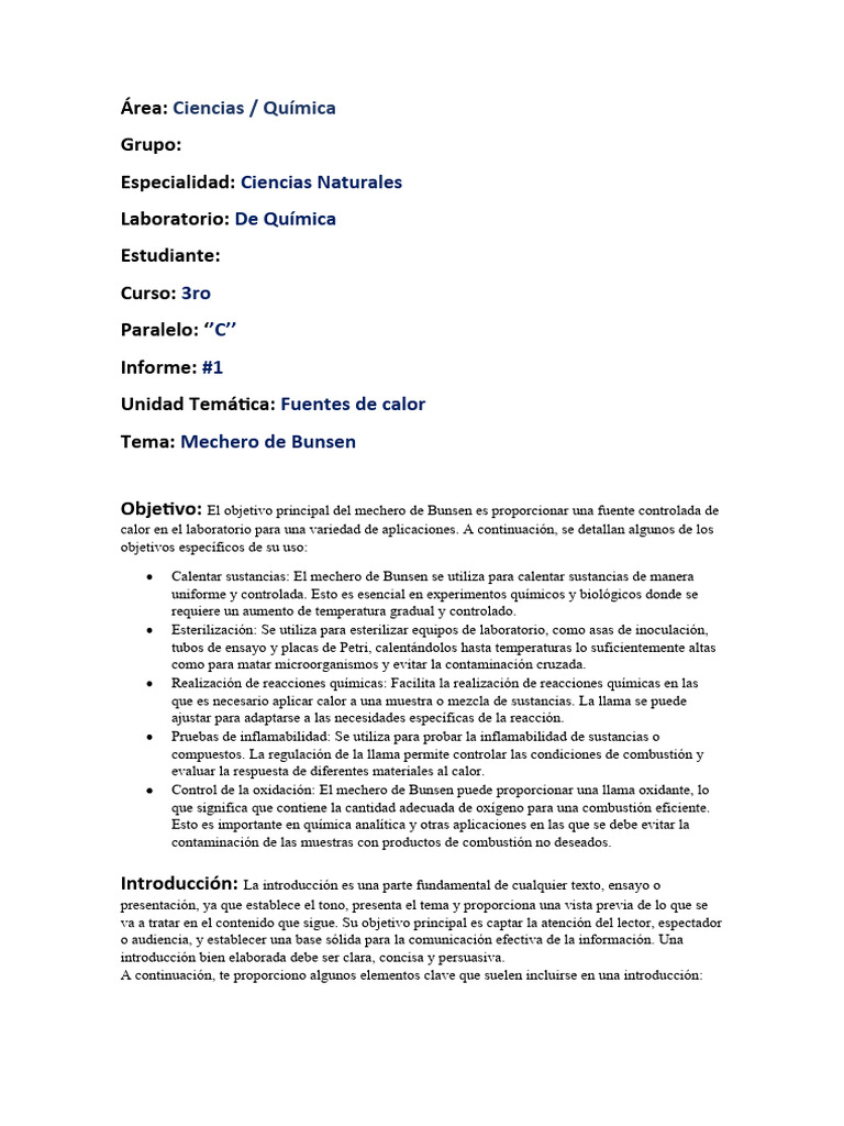 Mechero de Bunsen | PDF | Química | Reacciones químicas