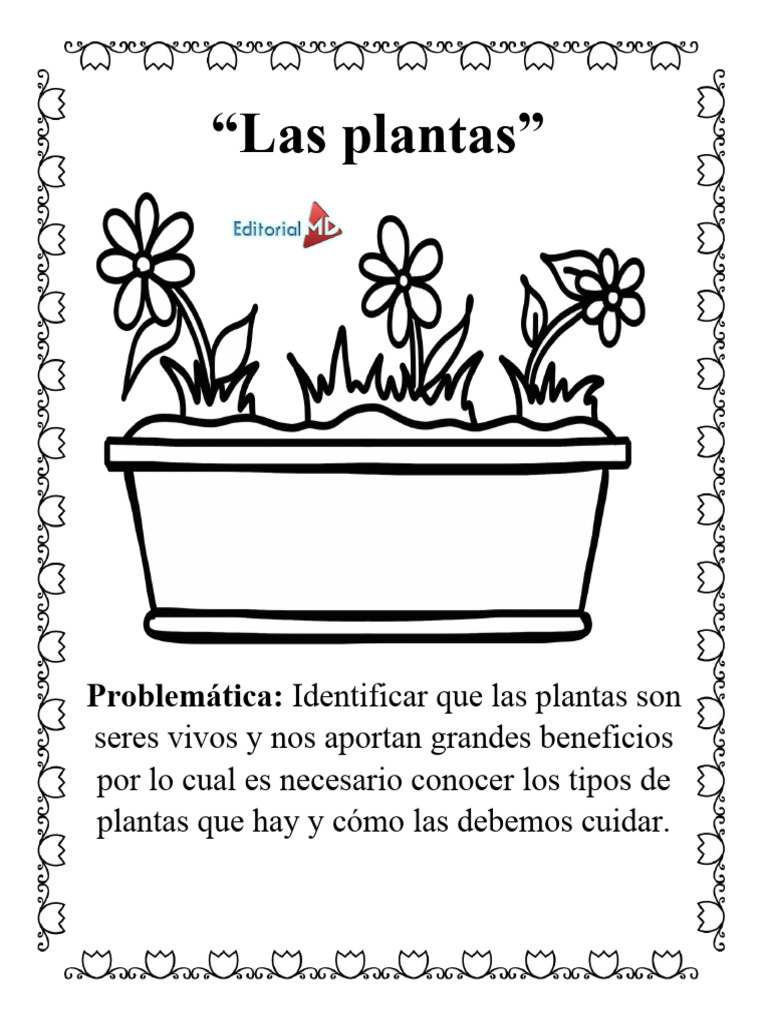 Cuidado y Observación de Plantas | PDF | Aprendizaje | Plantas