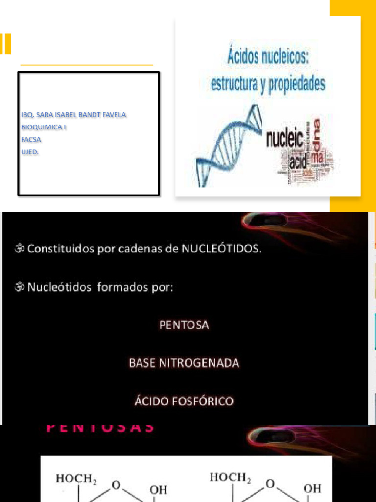 Nucleotidos y Ac. Nucleicos | PDF | Nucleótidos | Adn