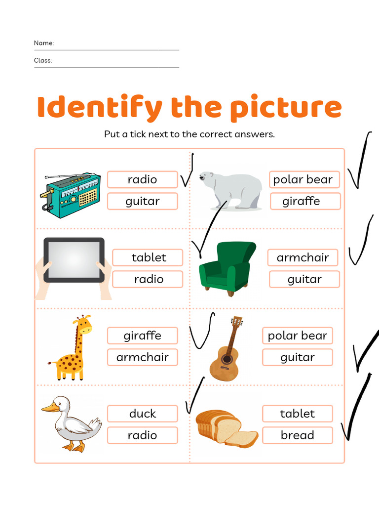 Identify the picture | PDF