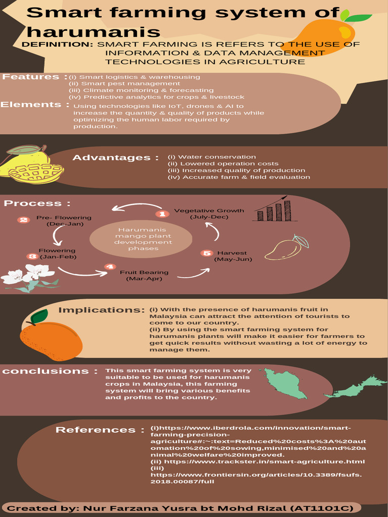 Harumanis Infograpic AGR142 | Download Free PDF | Agriculture | Food ...