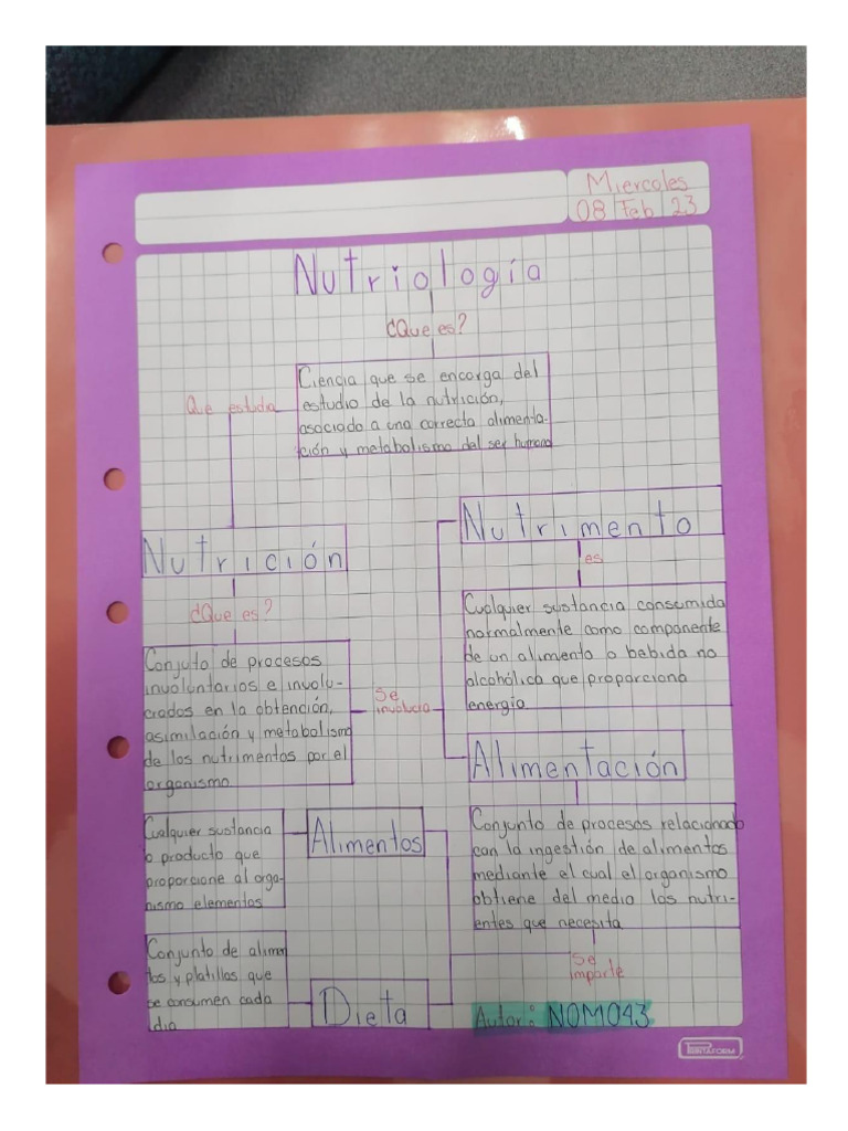 Act 1 Mapa Conceptual-Conceptos Basicos | PDF