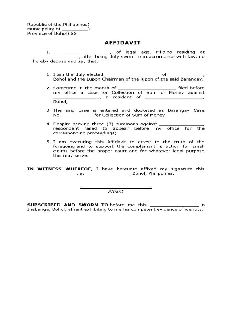 AFFIDAVIT SMALL CLAIMS Template | PDF
