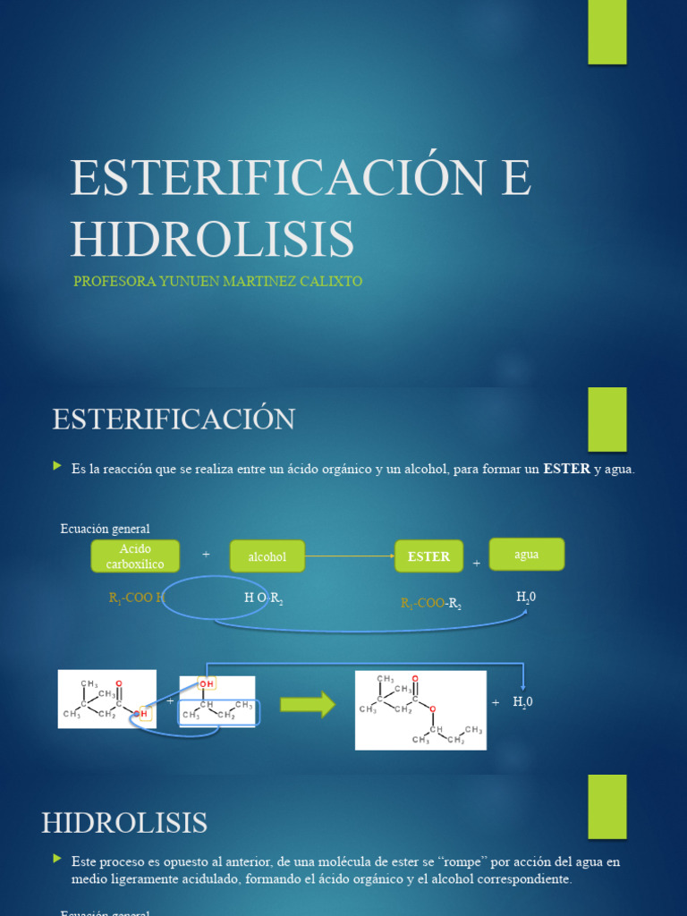 Esterificación E Hidrolisis Pdf