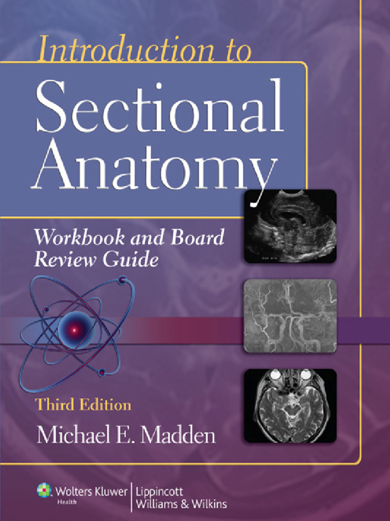 Introduction To Sectional Anatomy Workbook and Board Review Guide - 3rd ...