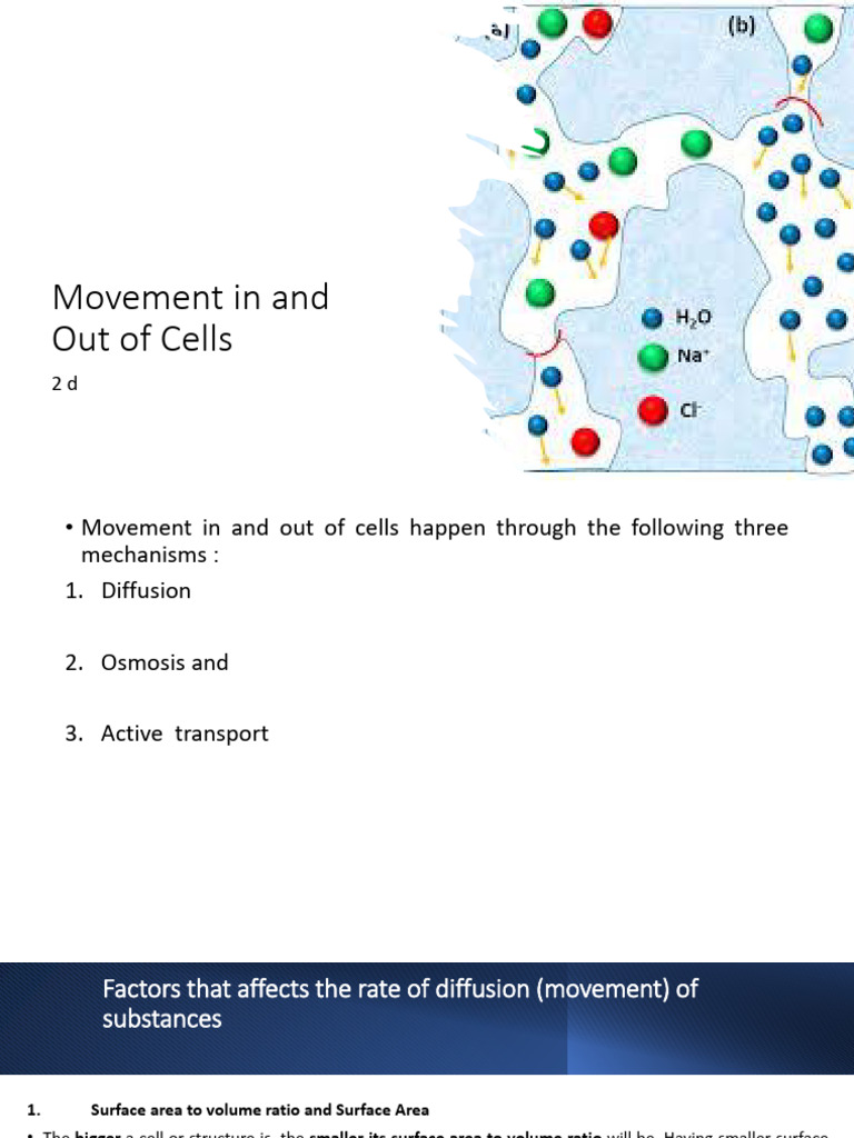 2 d Movement in and Out of Cells | PDF | Osmosis | Diffusion