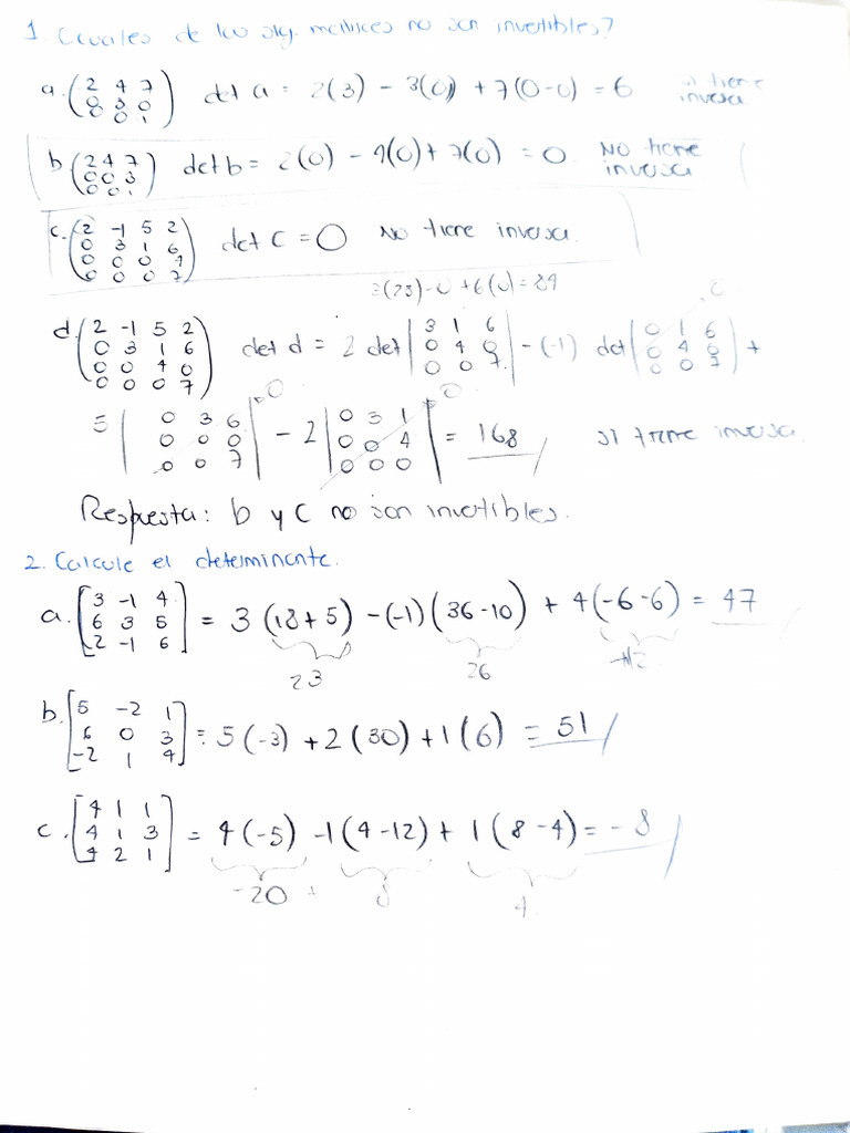 Tarea 1 Ejercicios resueltos | PDF