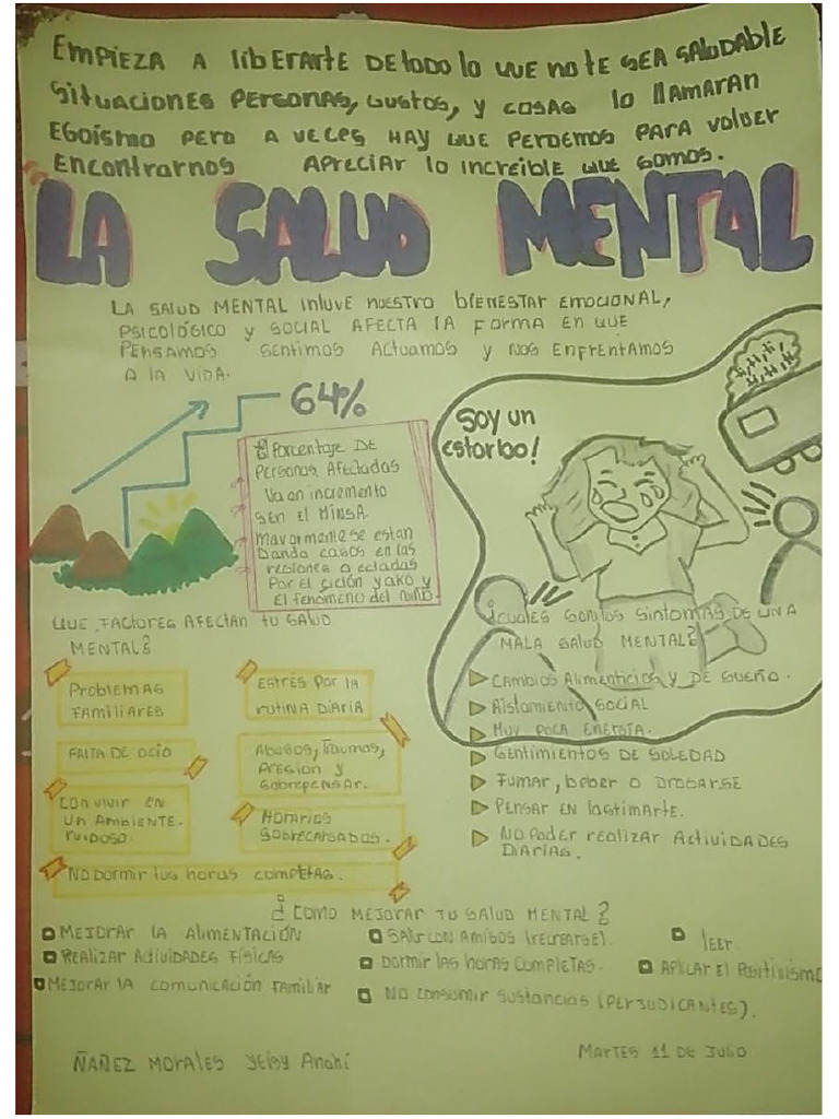 Infografía Salud Mental Pdf