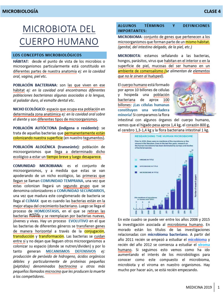 Clase 4. Microbiota Del Cuerpo Humano | PDF | Las bacterias ...