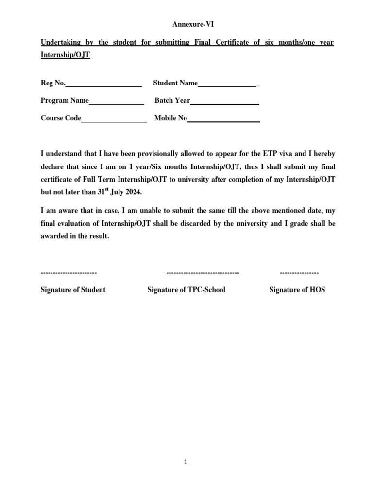 Format Internship Report | PDF