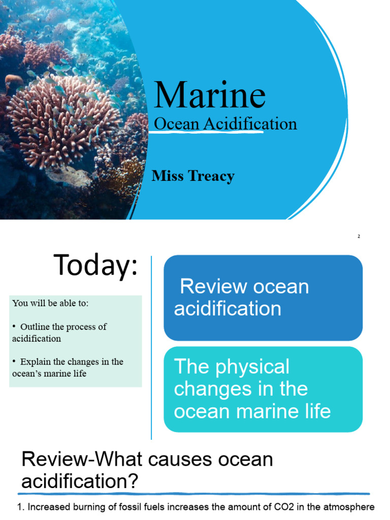 Ocean Acidification Effects | PDF