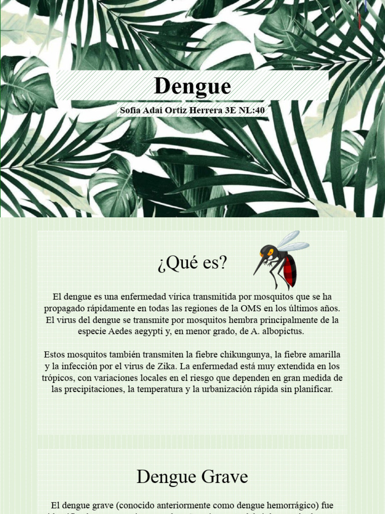 Dengue | PDF | Enfermedades animales | Salud pública