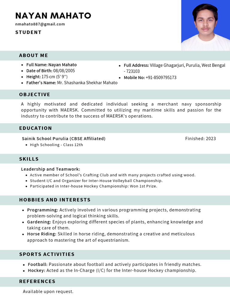 Entry Level Tech Professional Resume | PDF