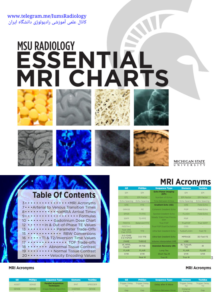 Radiology Essential Mri Charts | PDF | Magnetic Resonance Imaging | Aorta