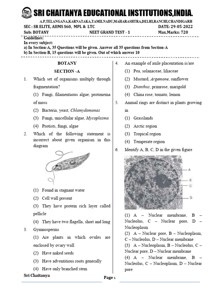 SR Elite, Aiims S60, MPL & LTC Neet Grand Test - 1 Paper (29-05-2022 ...