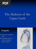 Upper Limb Bones Labeling Guide | PDF | Musculoskeletal System | Human ...
