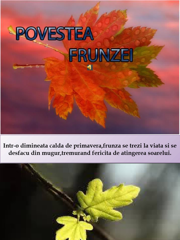 Frunza PPTZ - PPSM | PDF