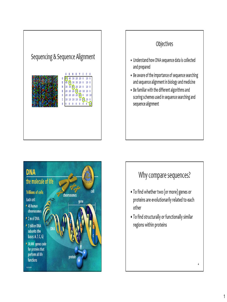 Lec 4 Seq and Seq Align New (相容模式) | PDF | Sequence Alignment | Homology (Biology)