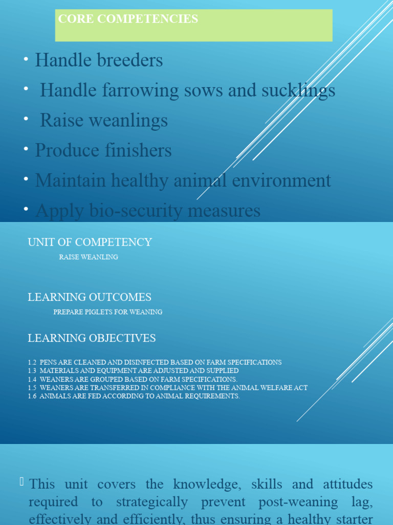 q2 Module 3 Animal Swine | PDF | Pig | Injection (Medicine)