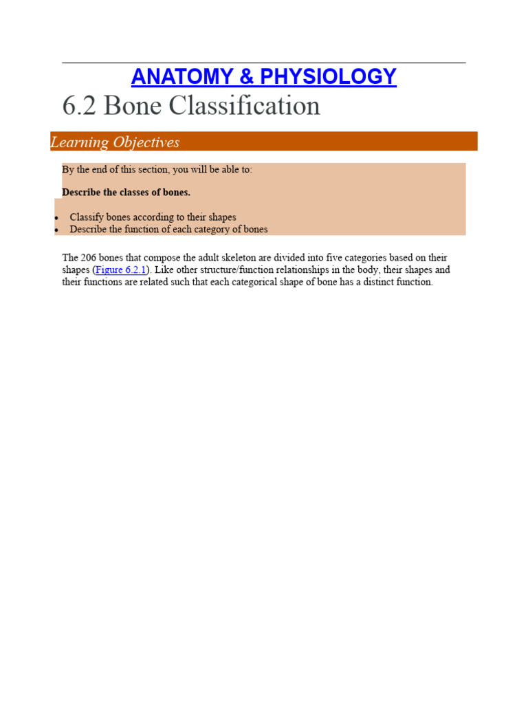 Bone Classification | PDF | Bone | Tendon