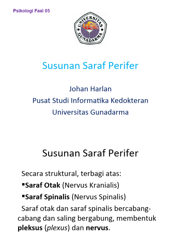 05-Susunan Saraf Perifer | PDF