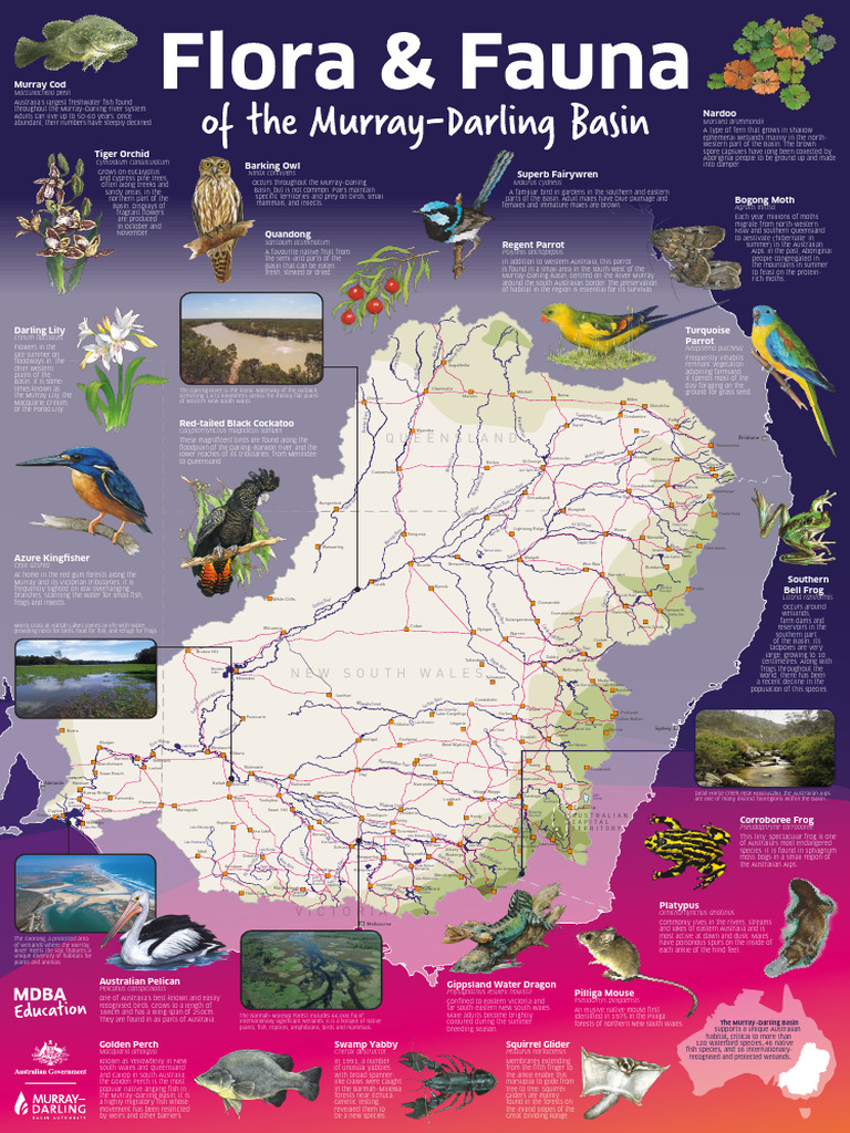 Flora and Fauna Poster | PDF | Birds | Ornithology