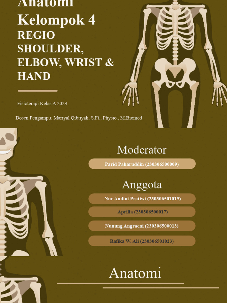 Anatomy Regio Shoulder, Elbow, Wrist & Hand Ppt-1 | PDF