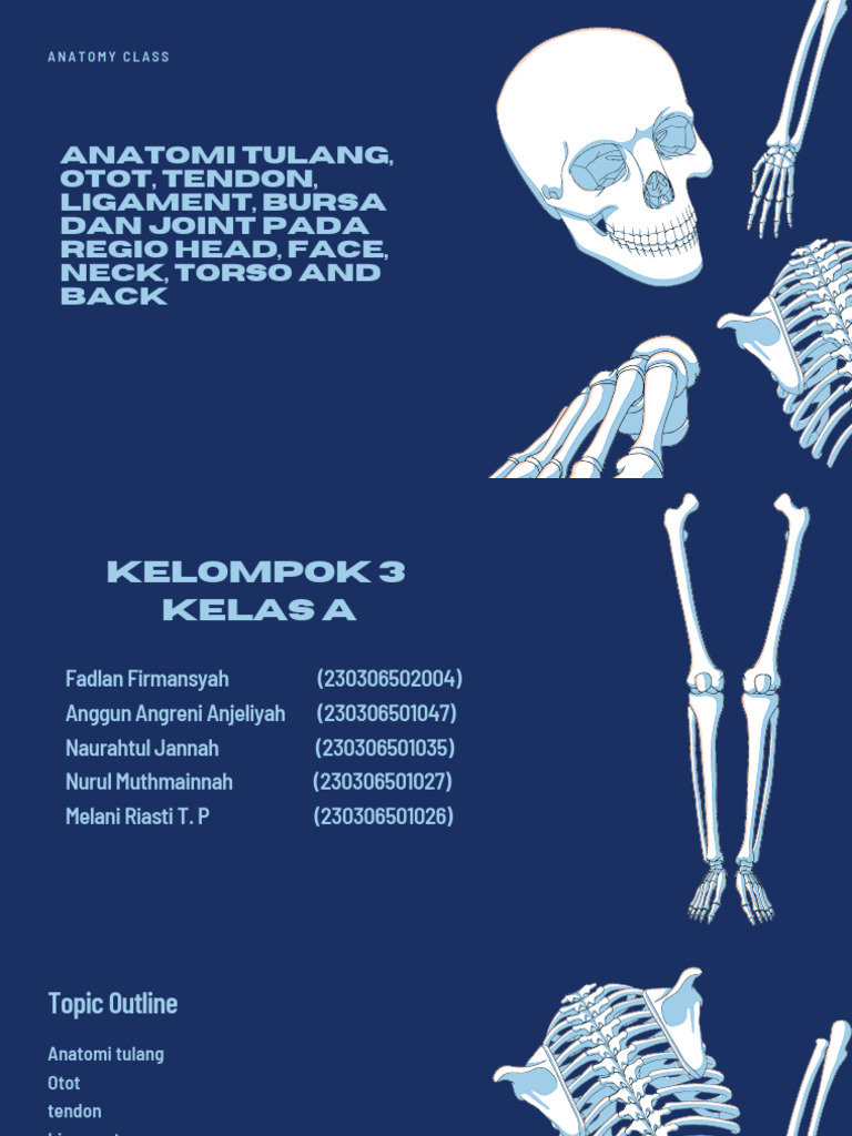 Anatomi Tulang, Otot, Tendon, Ligament, Bursa Dan Joint Pada Regio Head, Face, Neck, Torso and ...