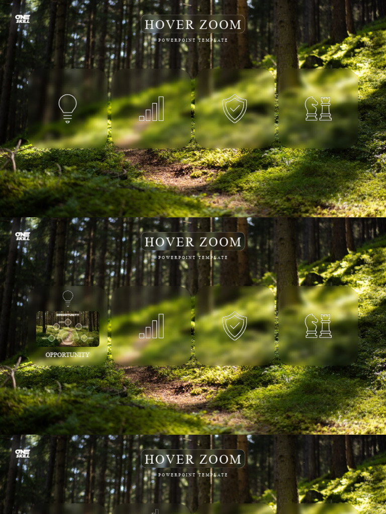 Hover Zoom PowerPoint | PDF