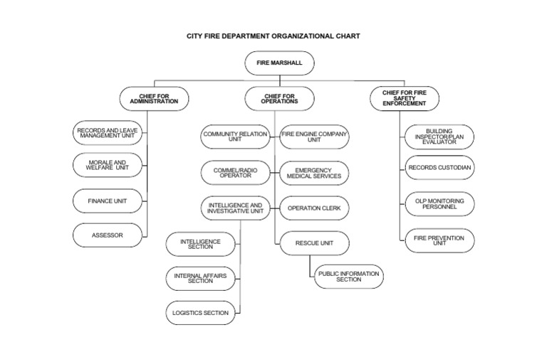 Org Chart | PDF