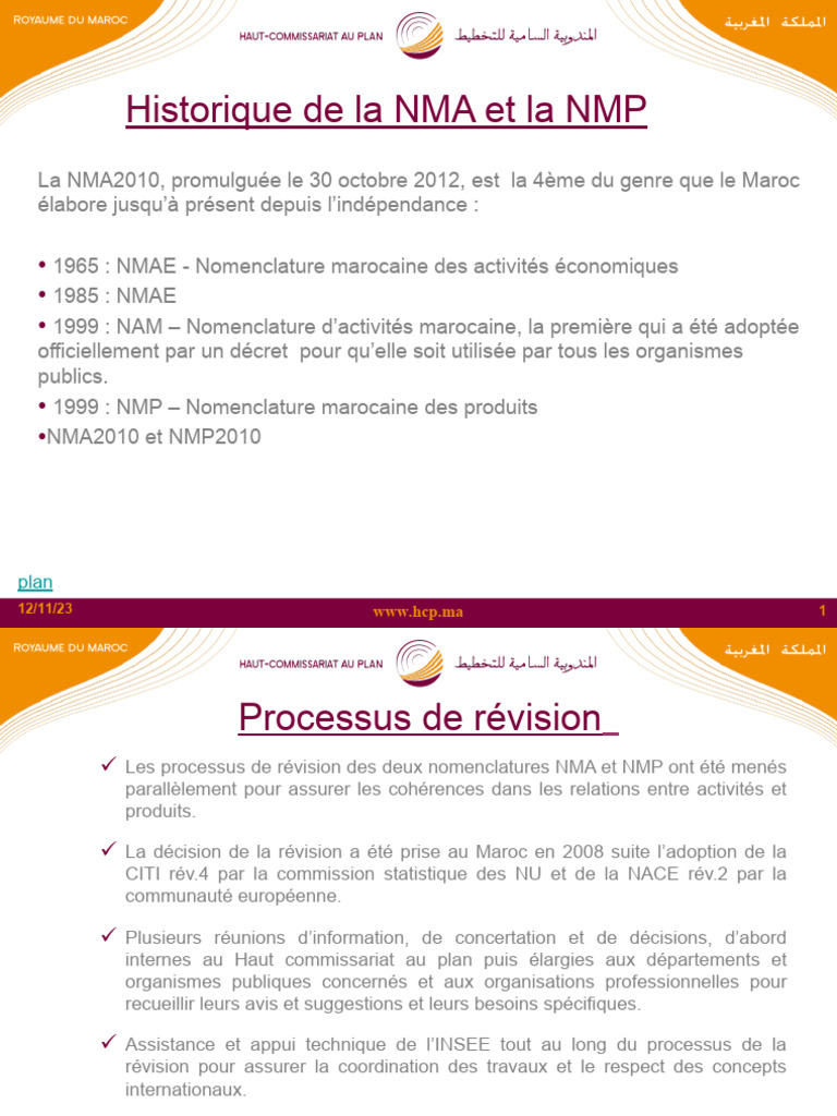 Nomenclatures - Maroc Des Activité | PDF | Maroc | Économie