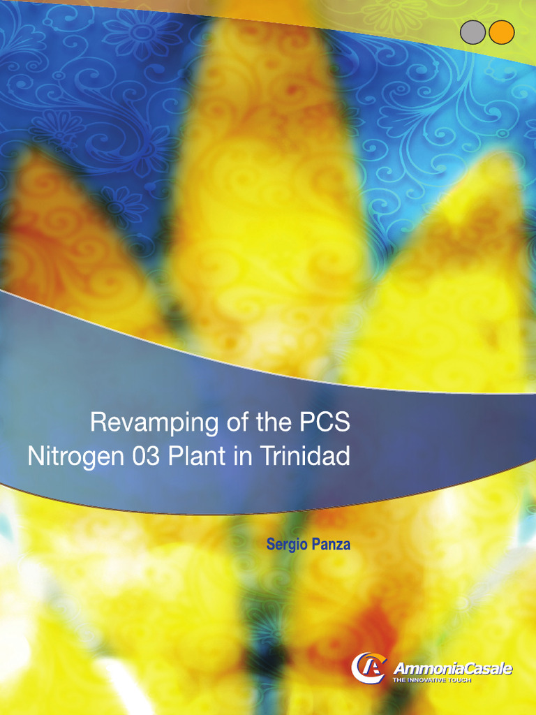 Revamping the PCS Nitrogen 02 Plant in Trinidad | PDF | Ammonia ...