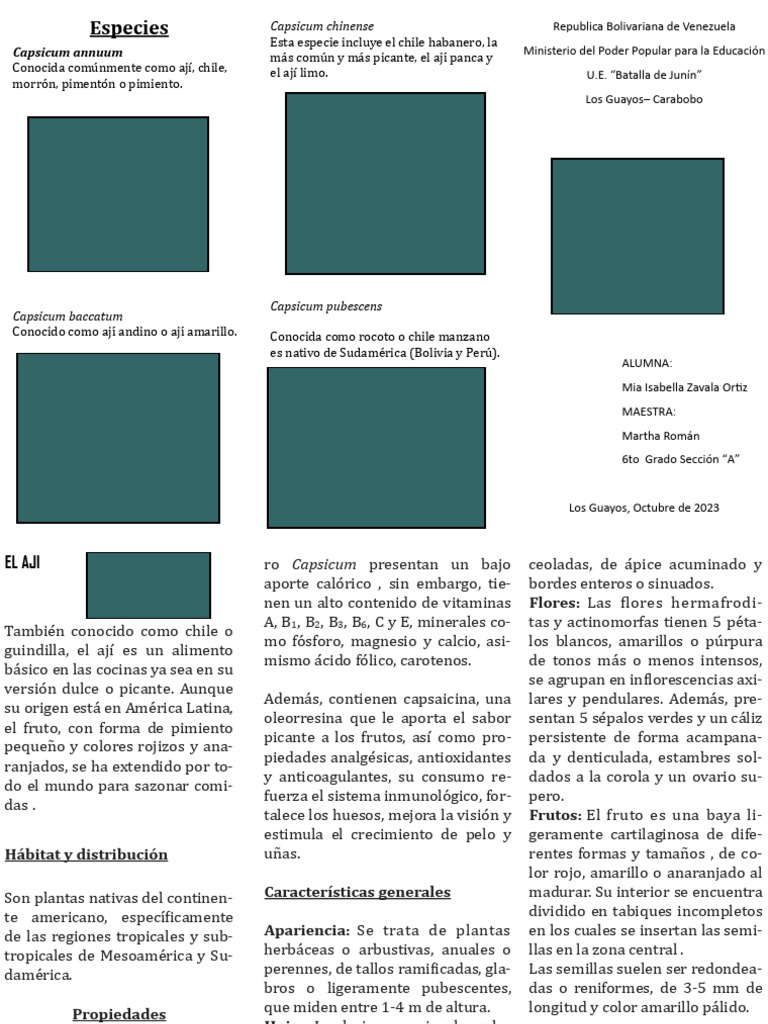 El Aji | PDF | Ají picante | Pimiento