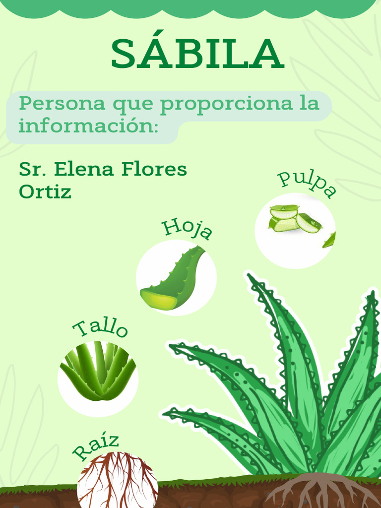 Sábila | PDF