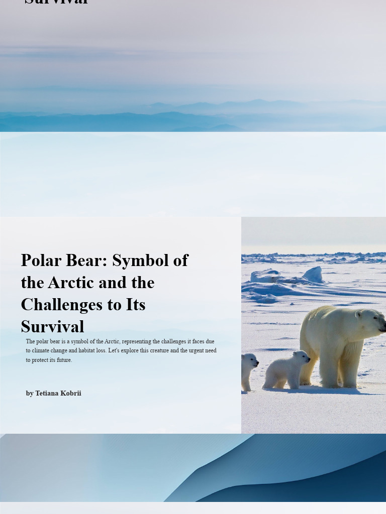 Polar Bear Symbol of The Arctic and The Challenges To Its Survival ...