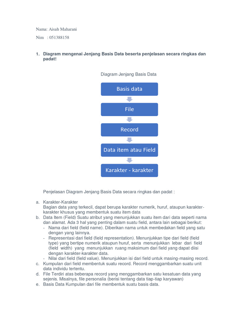 Jenjang Basis Data dan Organisasi File | PDF