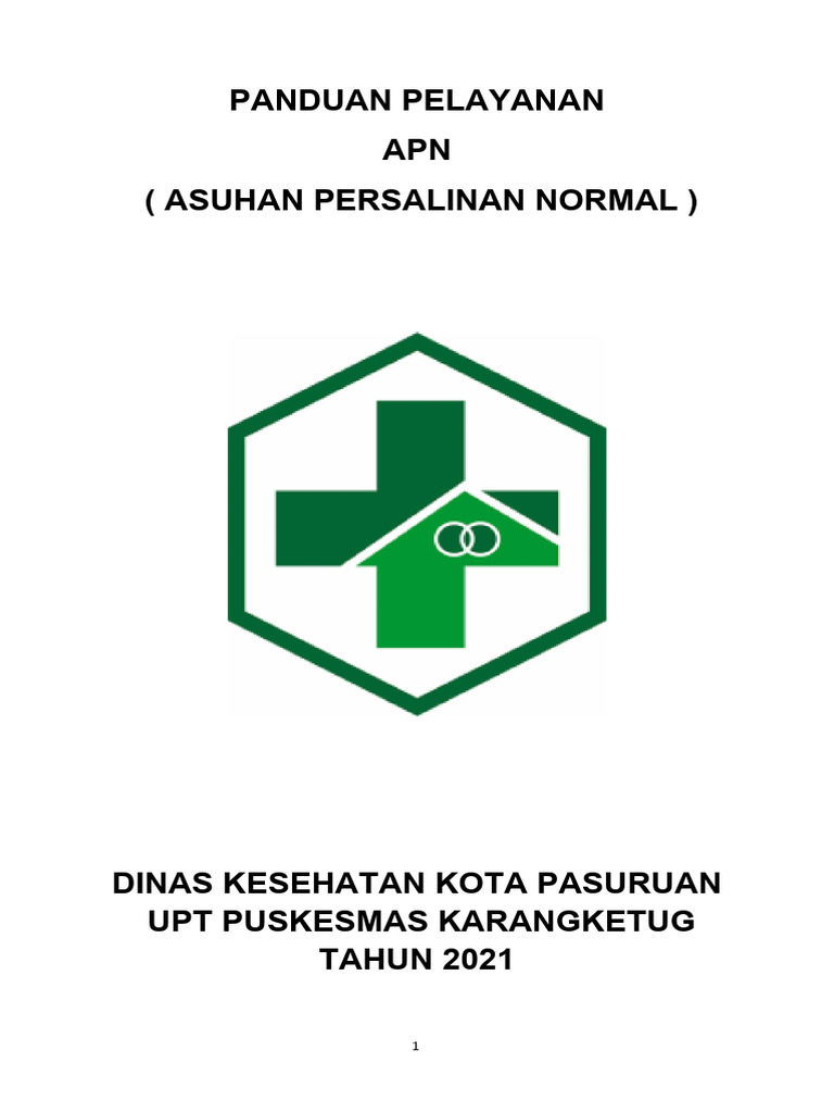 Format Panduan Apn | PDF