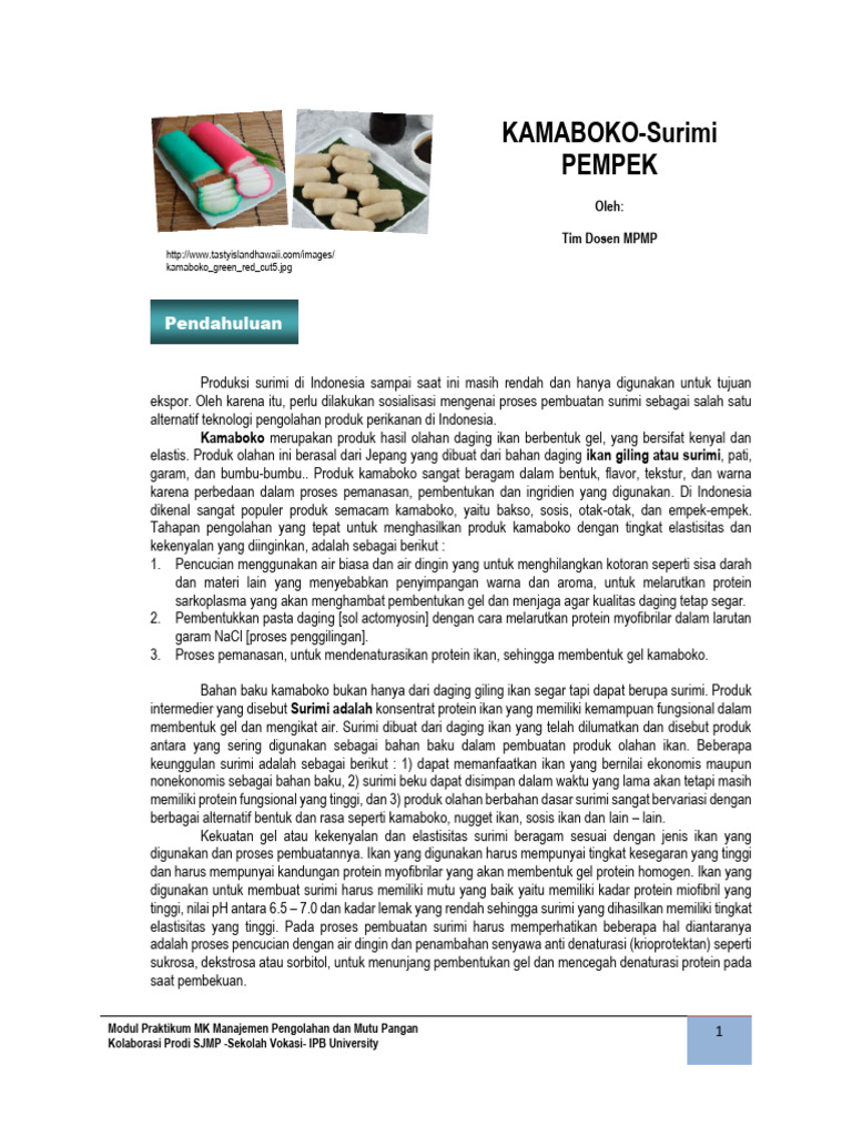 M11-Modul Prakt MPMP - KAMABOKO - PEMPEK | PDF | Sains & Matematika