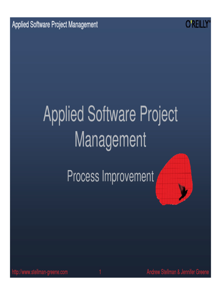 14 Process Improvement | PDF | Project Management | Software Engineering