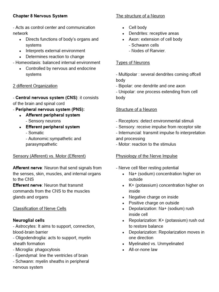 Chapter 8 ANAPHY Nervous System | PDF | Central Nervous System | Neuron
