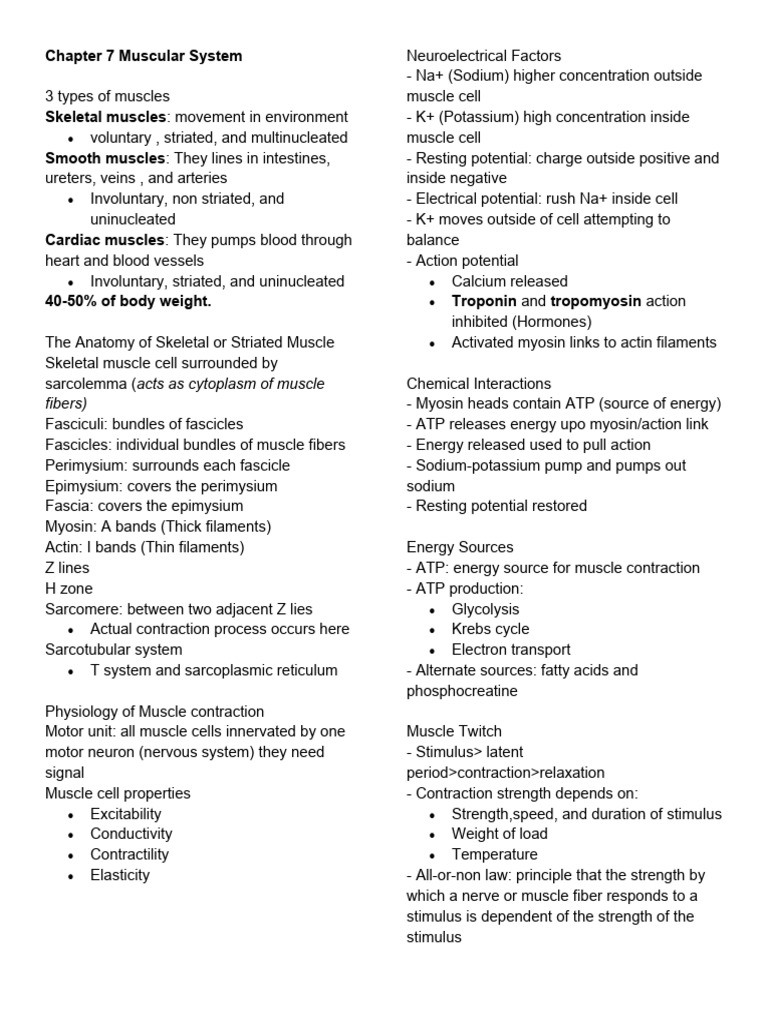 Chapter 7 ANAPHY Muscular System | PDF | Muscle Contraction | Anatomical Terms Of Motion