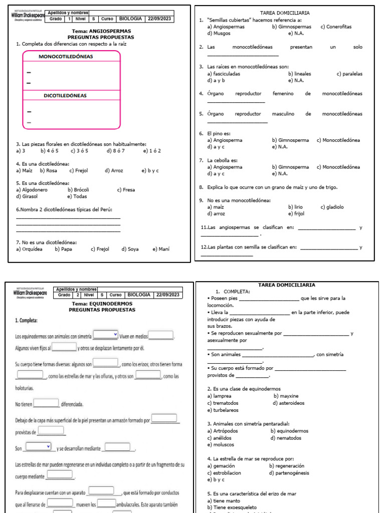 Separatas Biologia Semana 3 | PDF | Mitosis | Pulmón