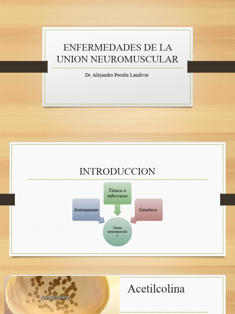 Enf. Union Neuromuscular | PDF | Unión neuromuscular | Neurociencia