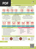 STAR Skin Tear Tool 04022010 | PDF | Skin | Wound