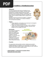 Test de Babinski-Weil y Sistema Vestibular | PDF