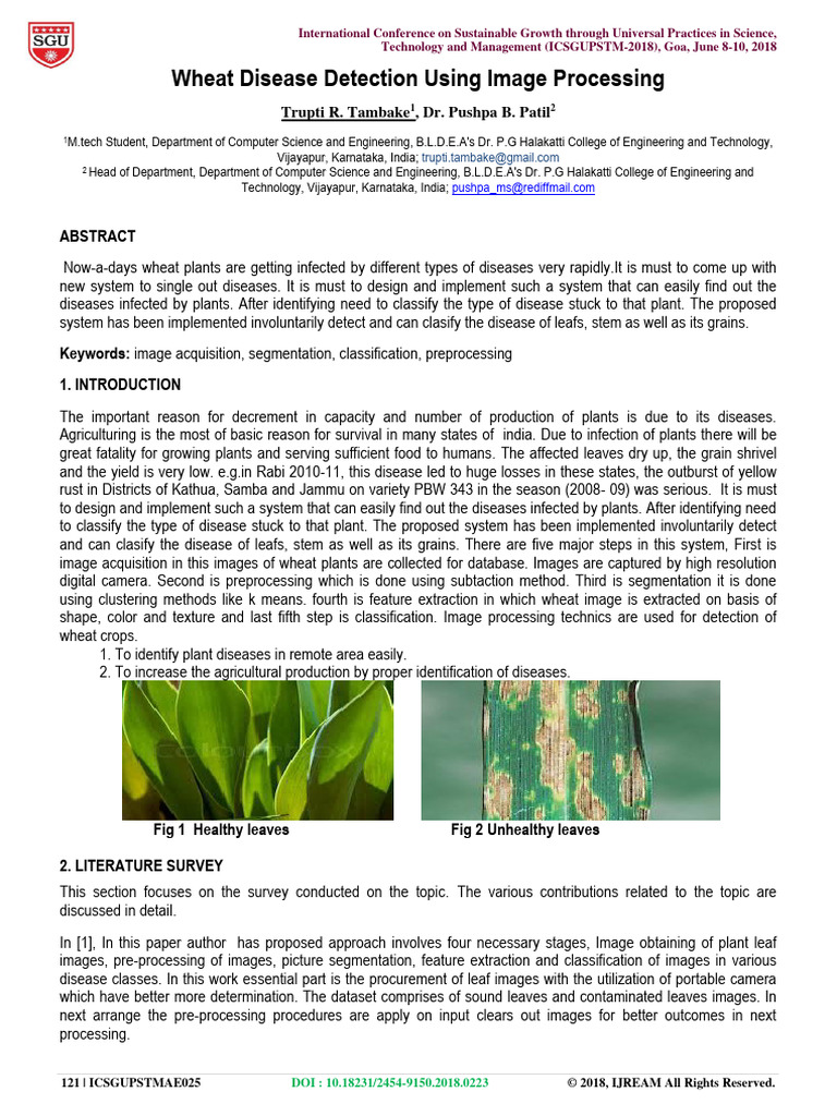 Wheat Disease Detection Using Image Processing Pdf Image Segmentation Wheat